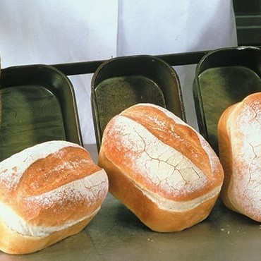 Bakery Fats, Oils, Margarine & Release Agents - Relianz Foods