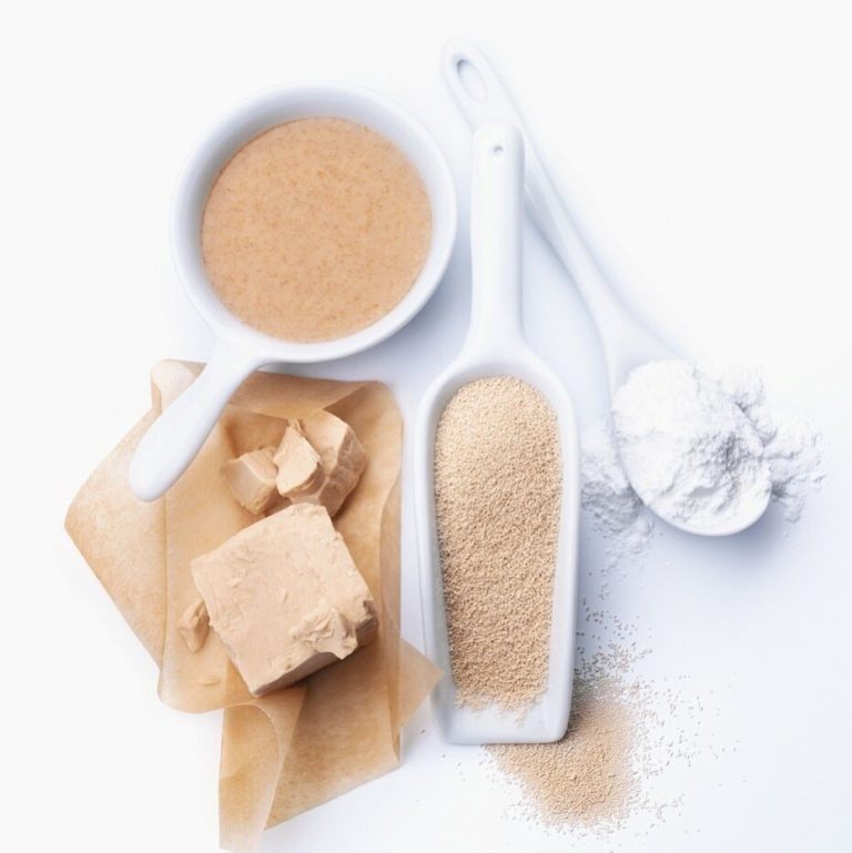 Raising Agents; Improvers & Yeast - Relianz Foods